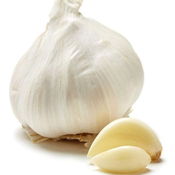 GARLIC OIL